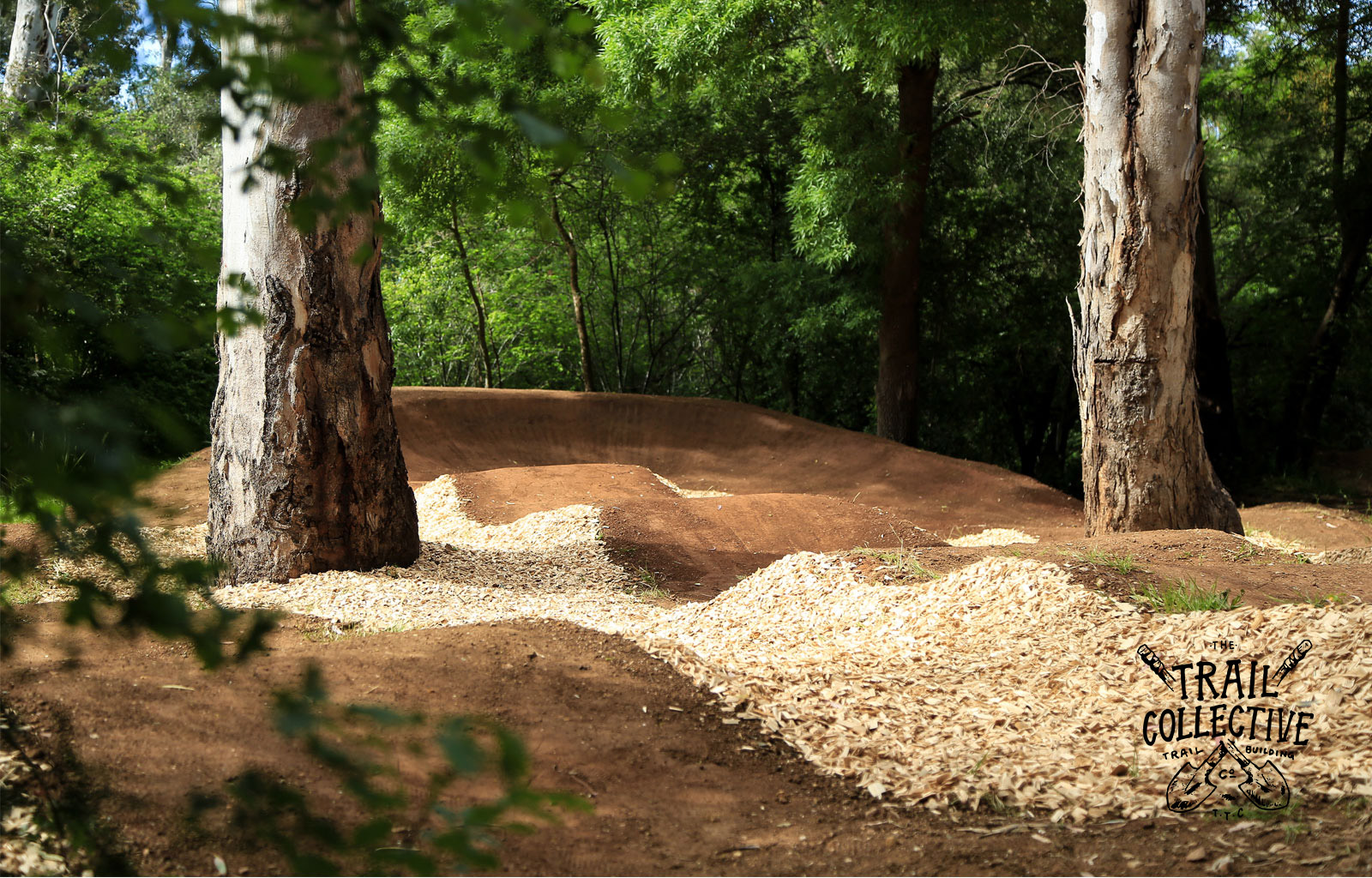 Hawthorndene Bike Park - The Trail Collective Pty Ltd